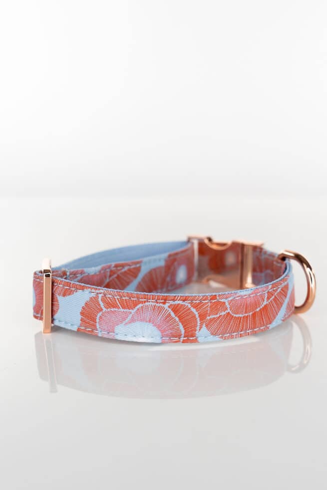 FLEUR Collar – IVI GmbH